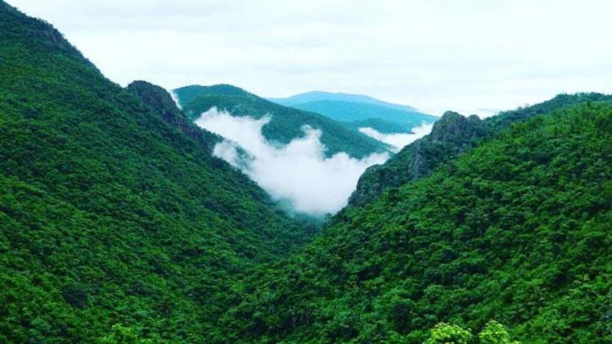 About Kandhamal Achyuta Samanta